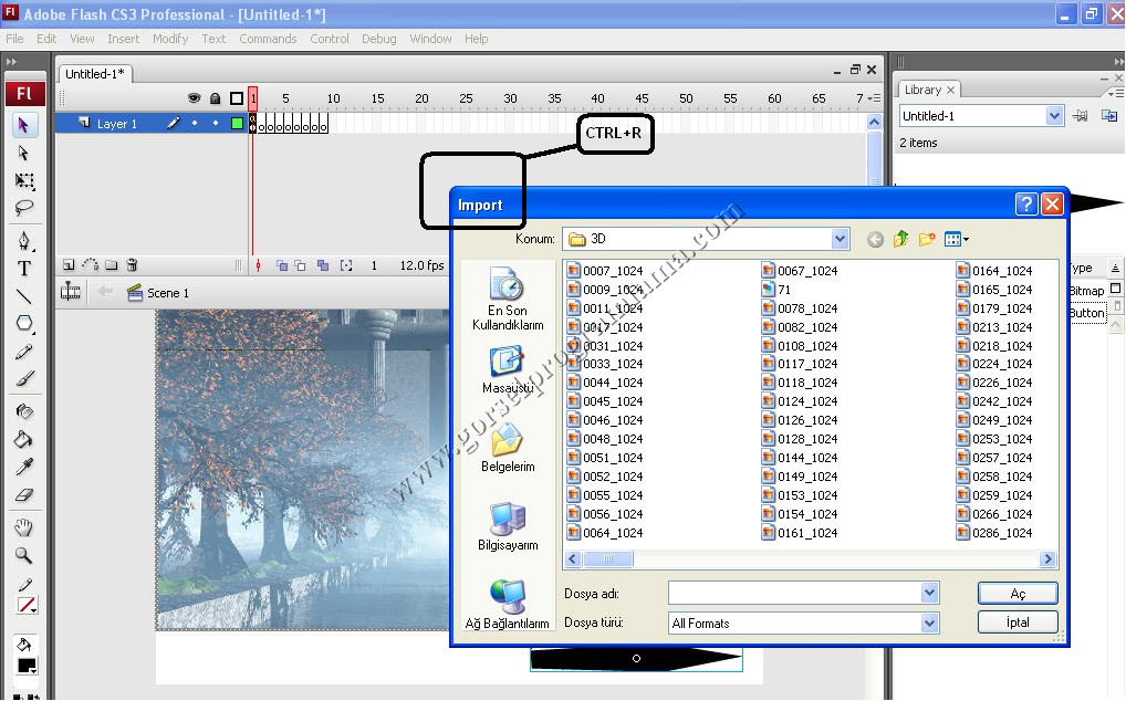 Gorsel Programlama » FotoGaleri Yapımı Flash
