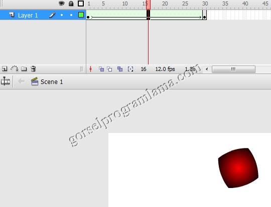 Shape Tween Flash – Gorsel Programlama